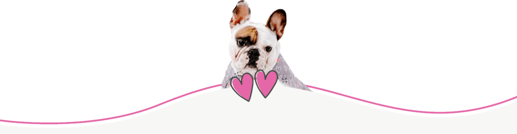 That's So Fetch! Contact Us That's So Fetch! Contact Us